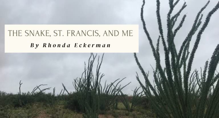 The Snake, St. Francis, and Me | Franciscan Mission Service